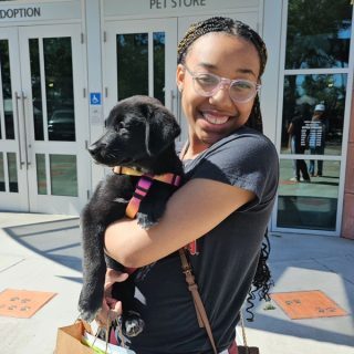 Home | California Adopt-a-Pet Day